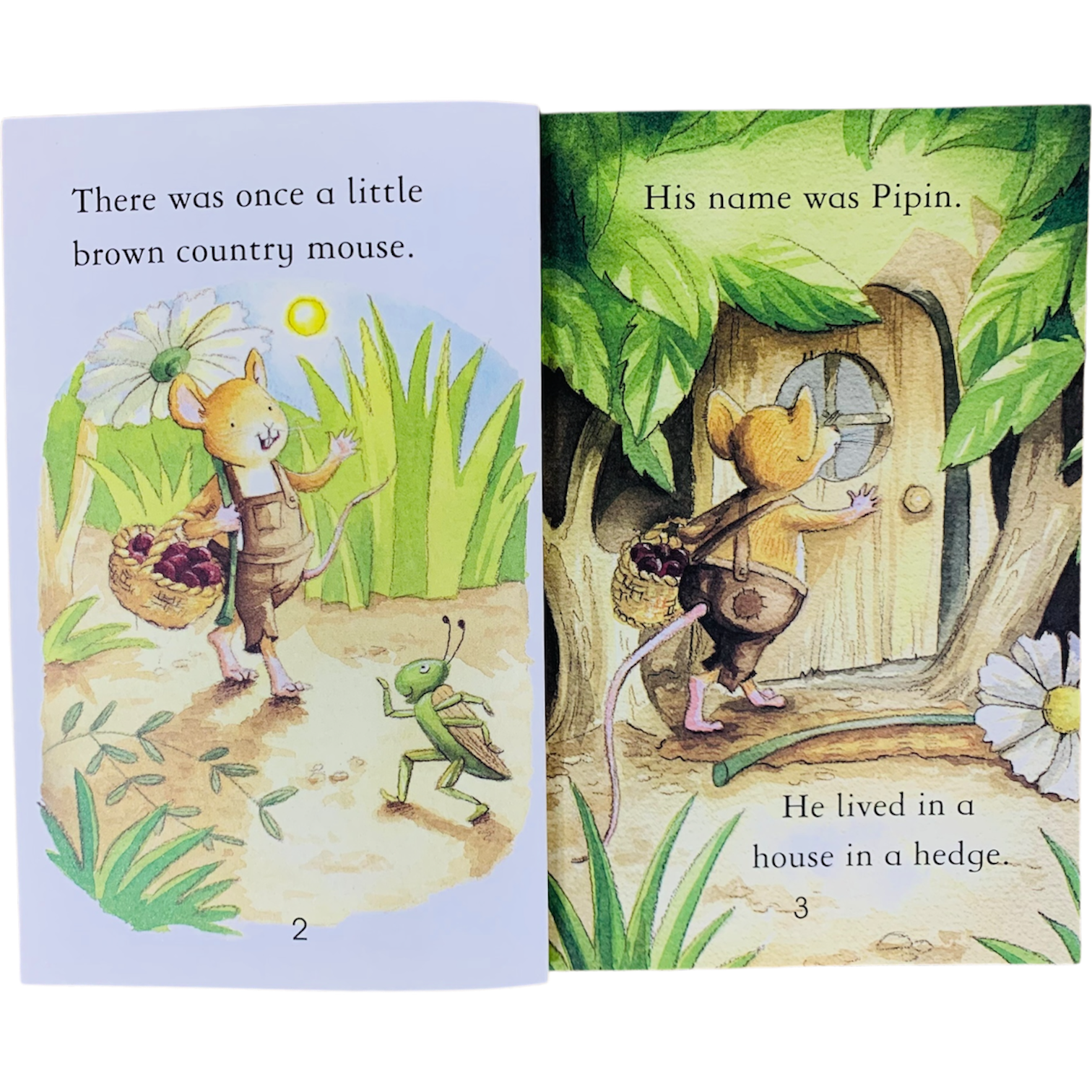 USBORNE _ the town mouse and the country mouse - كراوس لايف - Crouse Life